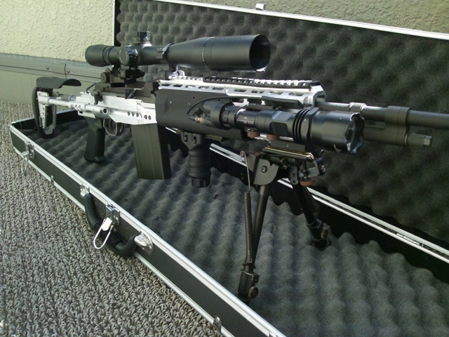 M14 Ebr Silver